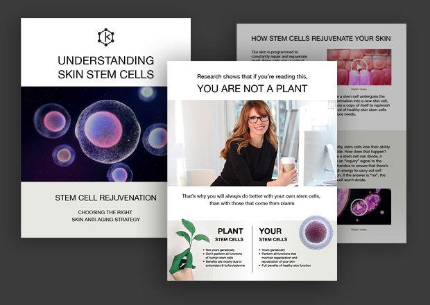 MB Designs: Brochures, Publications, Catalogs, Look books, Book Covers ...